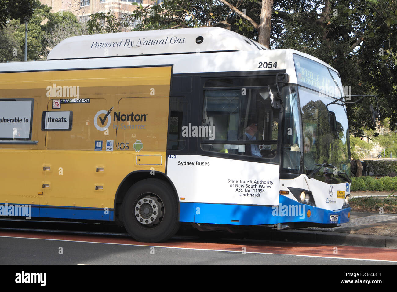 Sydney bus single decker,NSW,Australia Stock Photo - Alamy