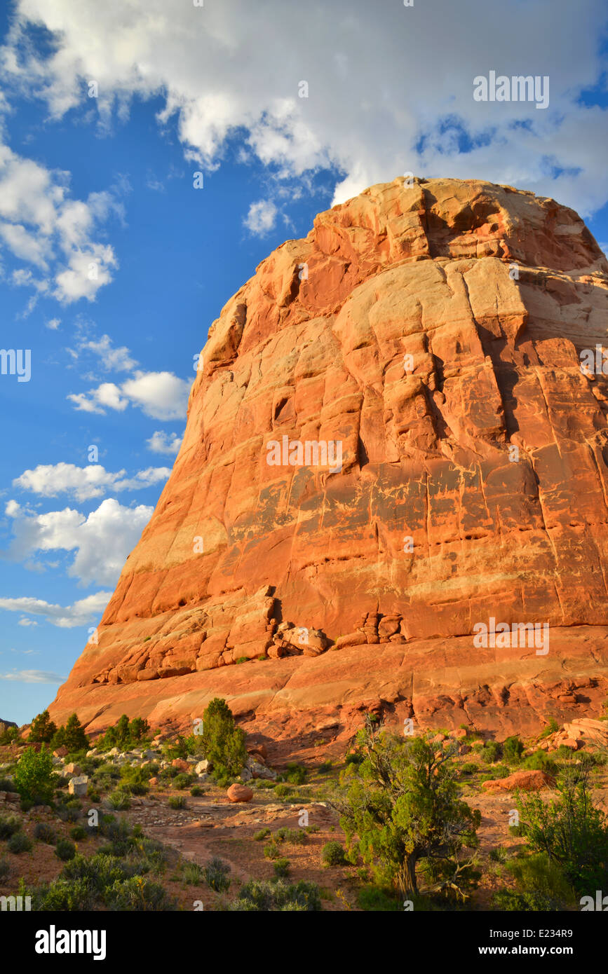 Red Rock Wilderness along back country road off Highway 128 and Dewey ...