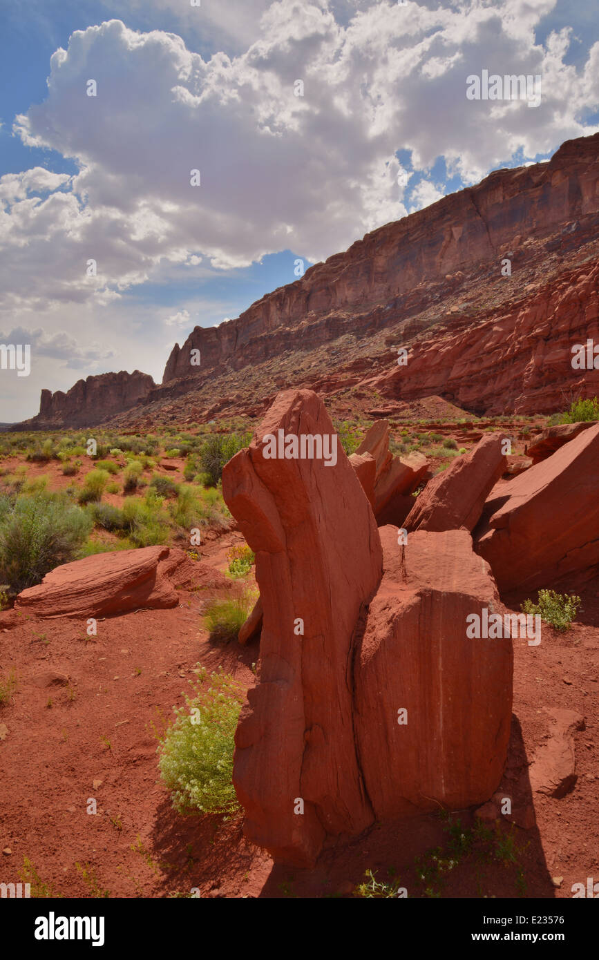 Highway 313 hi-res stock photography and images - Alamy