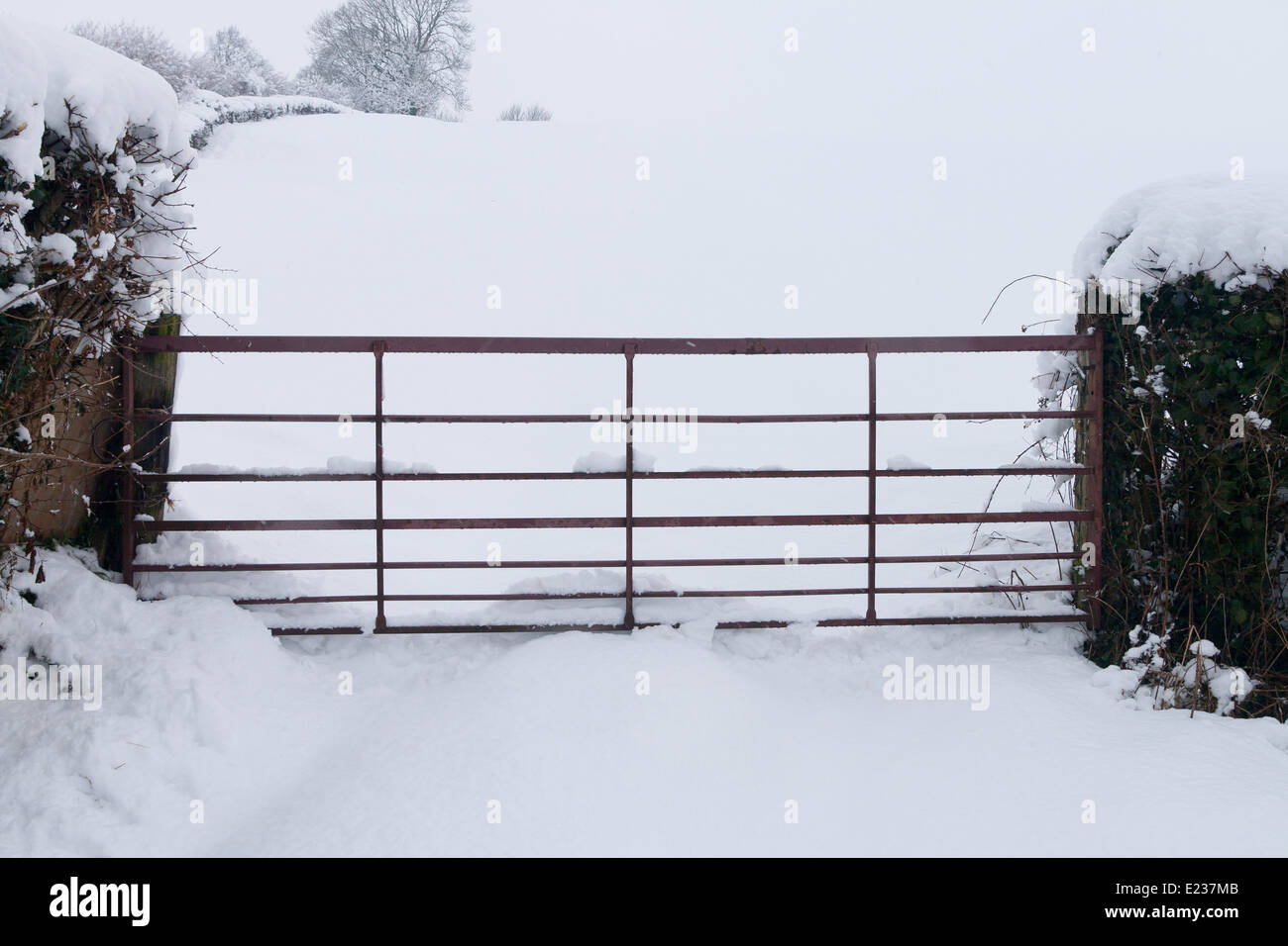 Looking over farm gate at snow covered landscape at foot of the ...