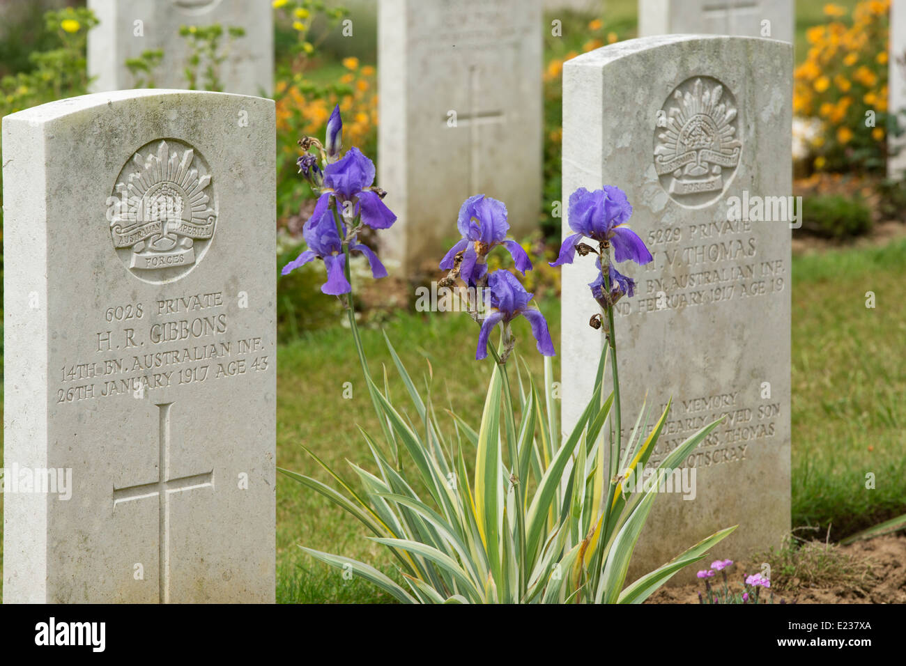 Australian graves at 'Bulls Road' First World War Cemetery in the Somme ...