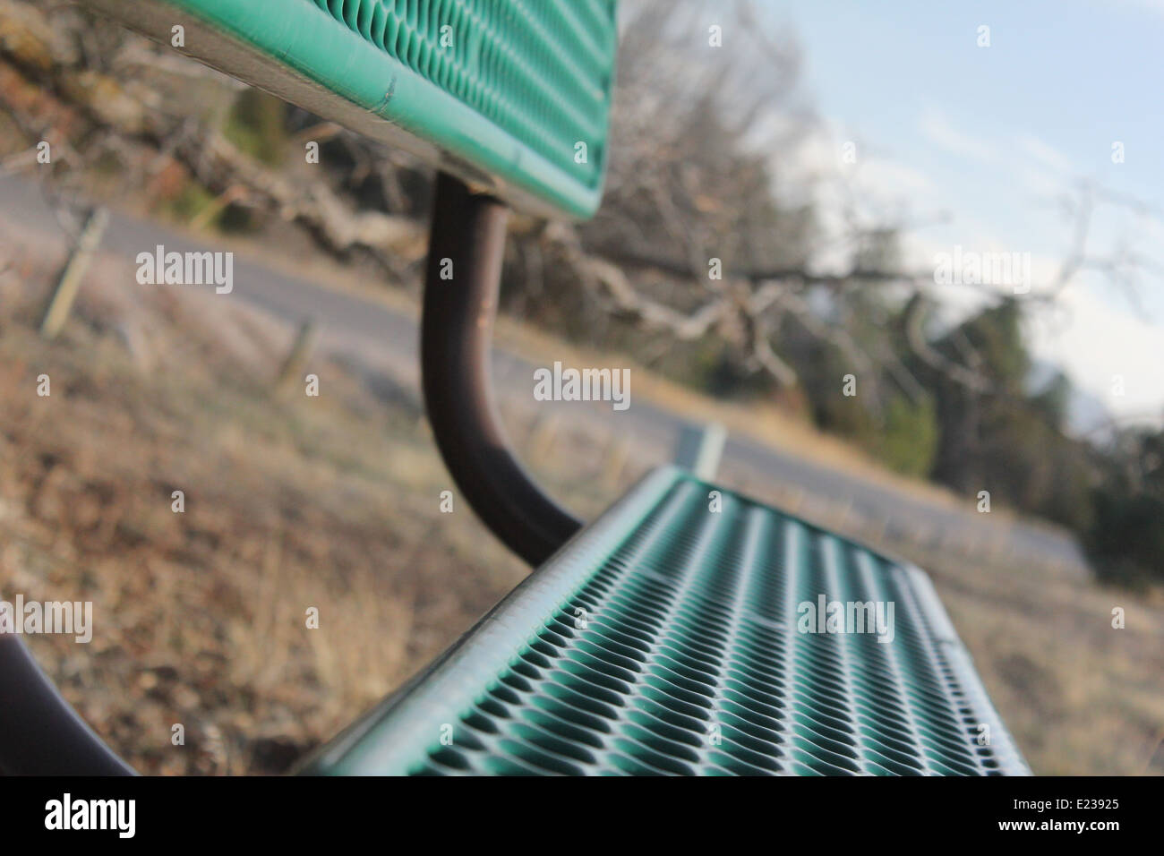 Dutch Angle Photography