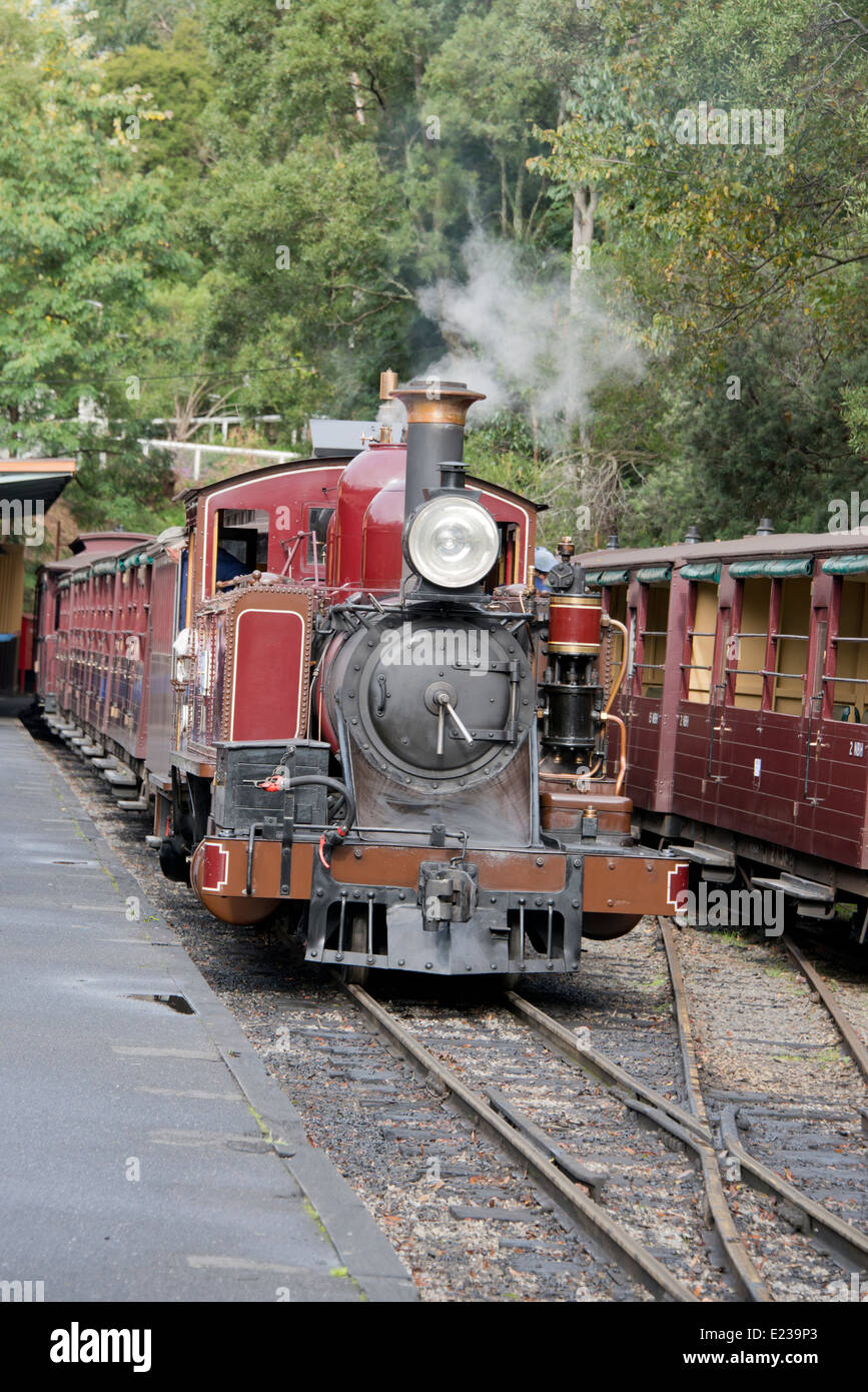 Australia, Victoria, Melbourne, Dandenong Ranges. Puffing Billy, historic vintage steam train ...