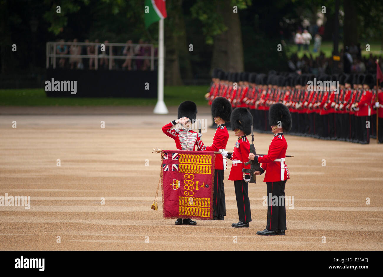 Nijmegen company grenadier guards collection of the colour hi-res stock ...
