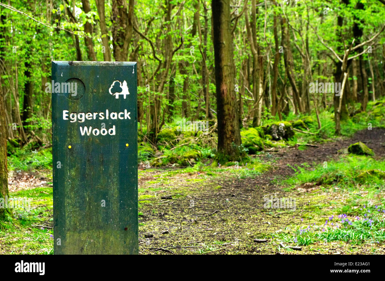 Woodland forestry commission trees sign hi-res stock photography and ...