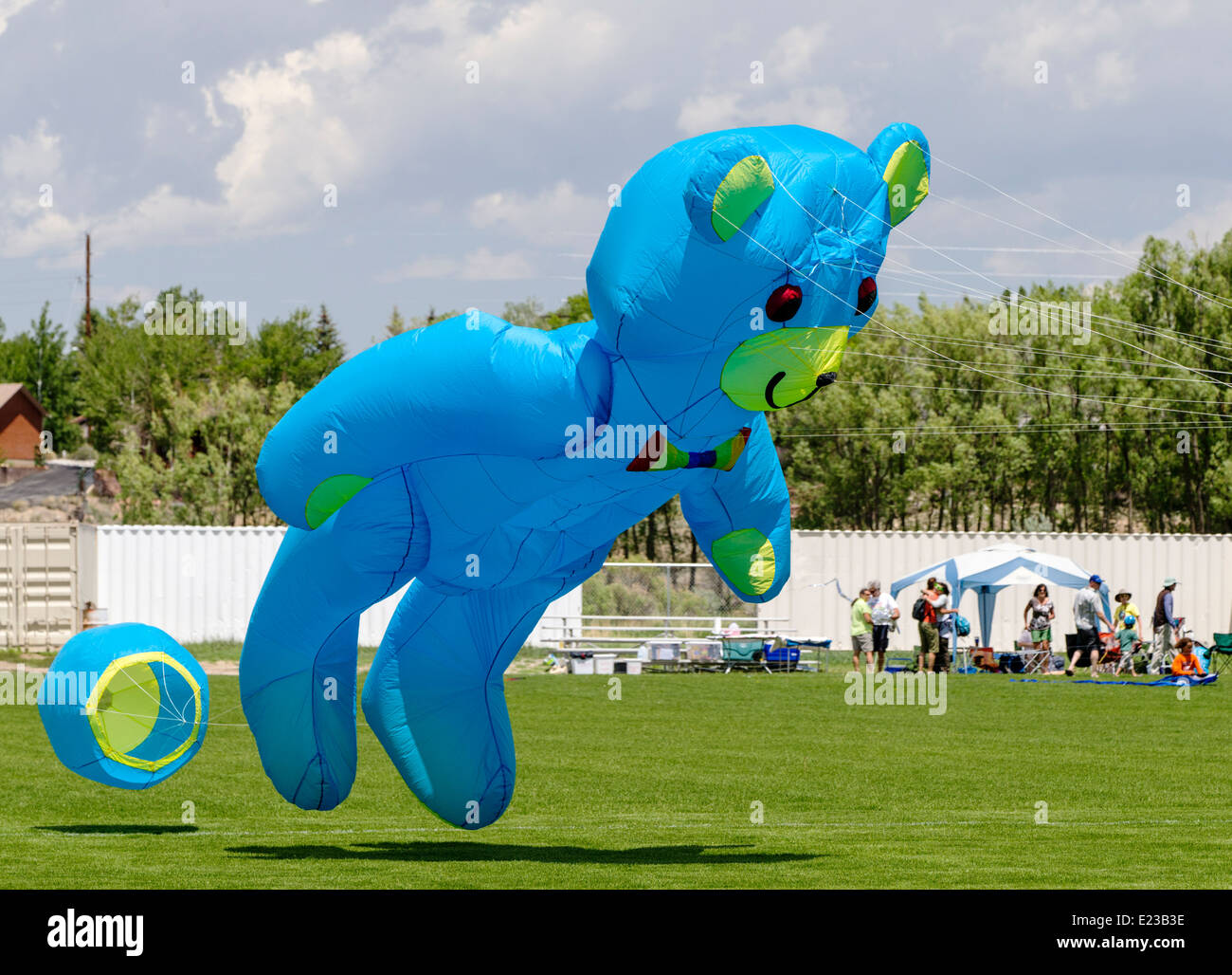 High flying bear hi-res stock photography and images - Alamy