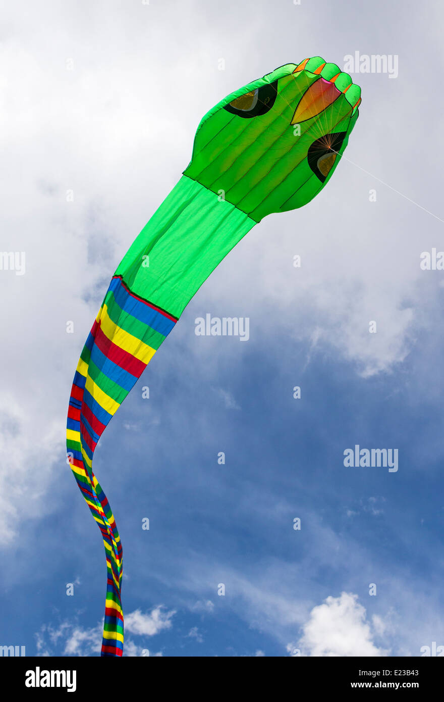 Serpent snake shaped kite against a Colorado sky Stock Photo - Alamy