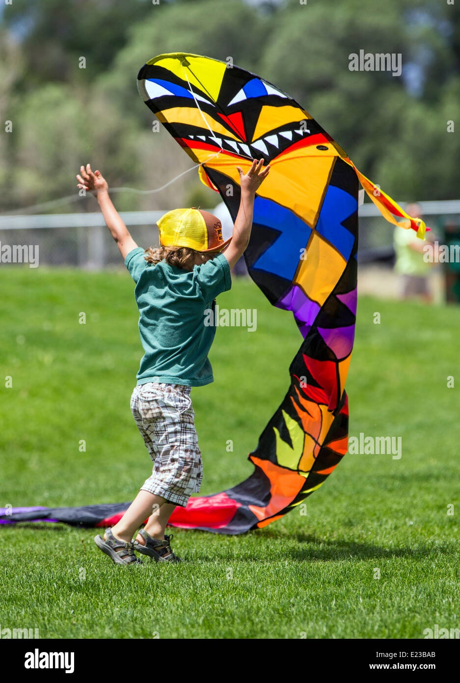 Young boy launching a kite on a grassy field Stock Photo - Alamy