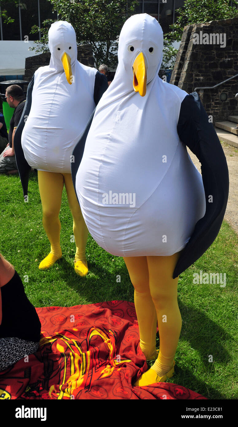 Seagull costume hi-res stock photography and images - Alamy