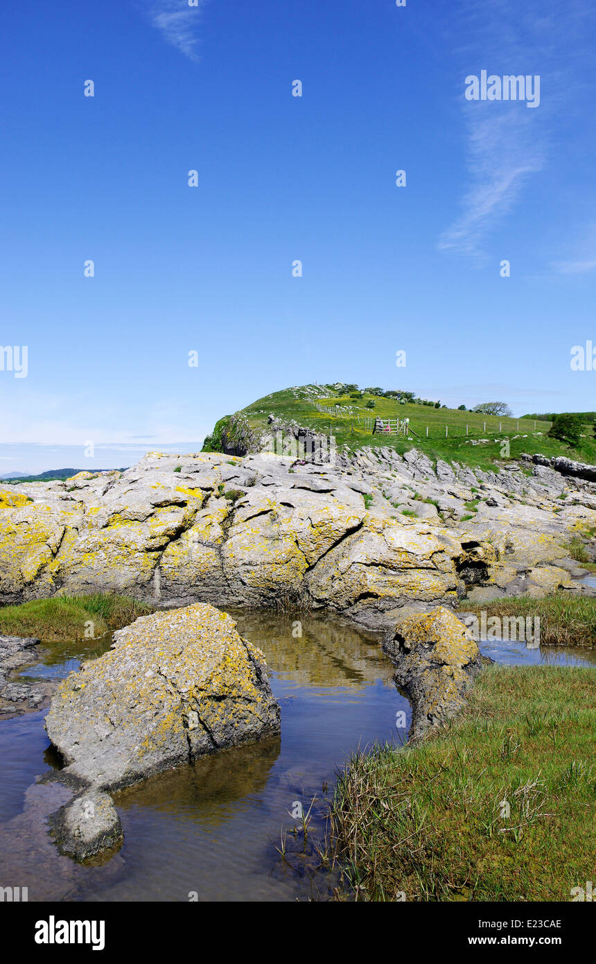 Humphrey Head Point, Cumbria, England, UK Stock Photo - Alamy
