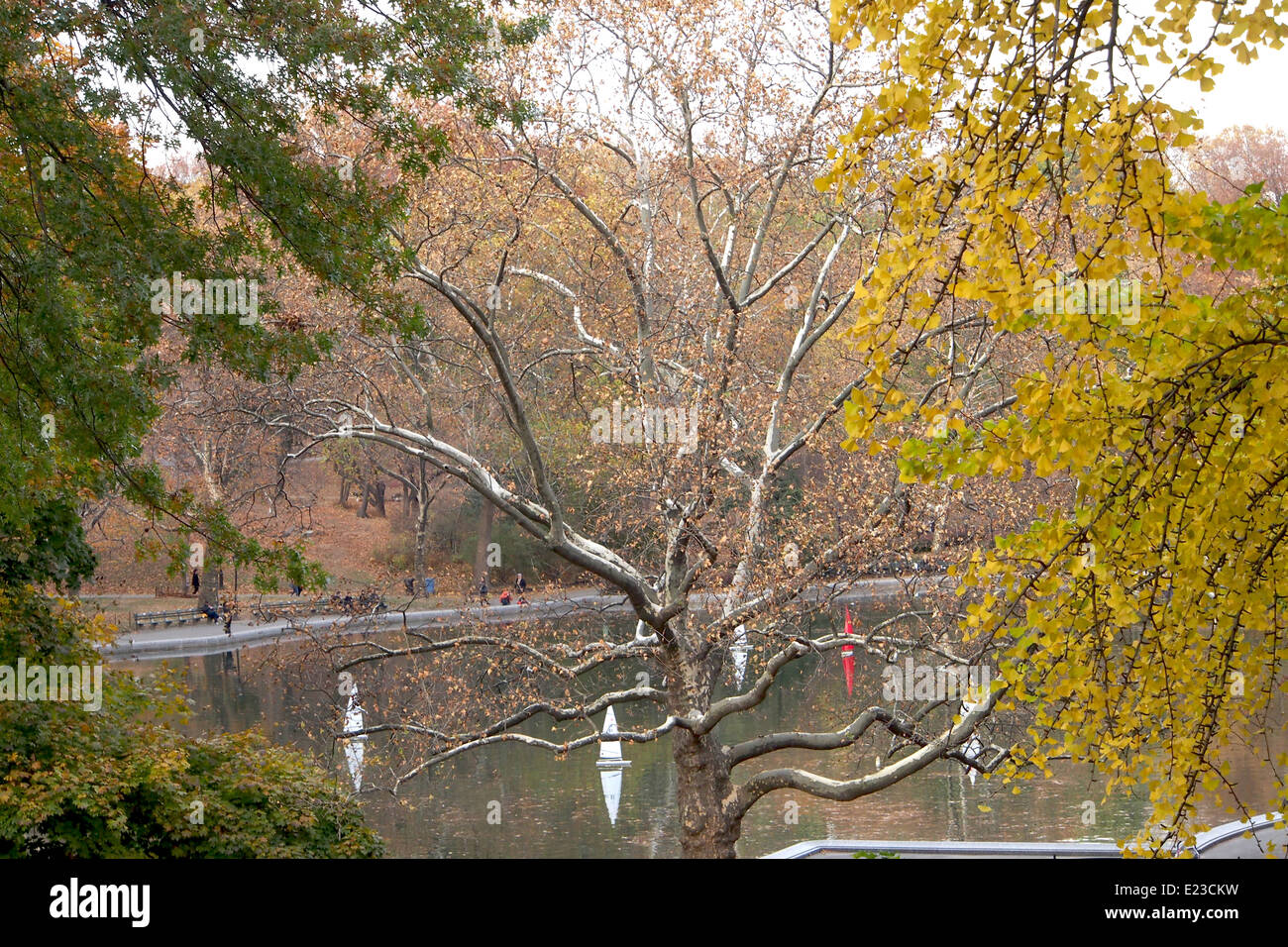 Central Park Conservatory Water, NYC Stock Photo - Alamy