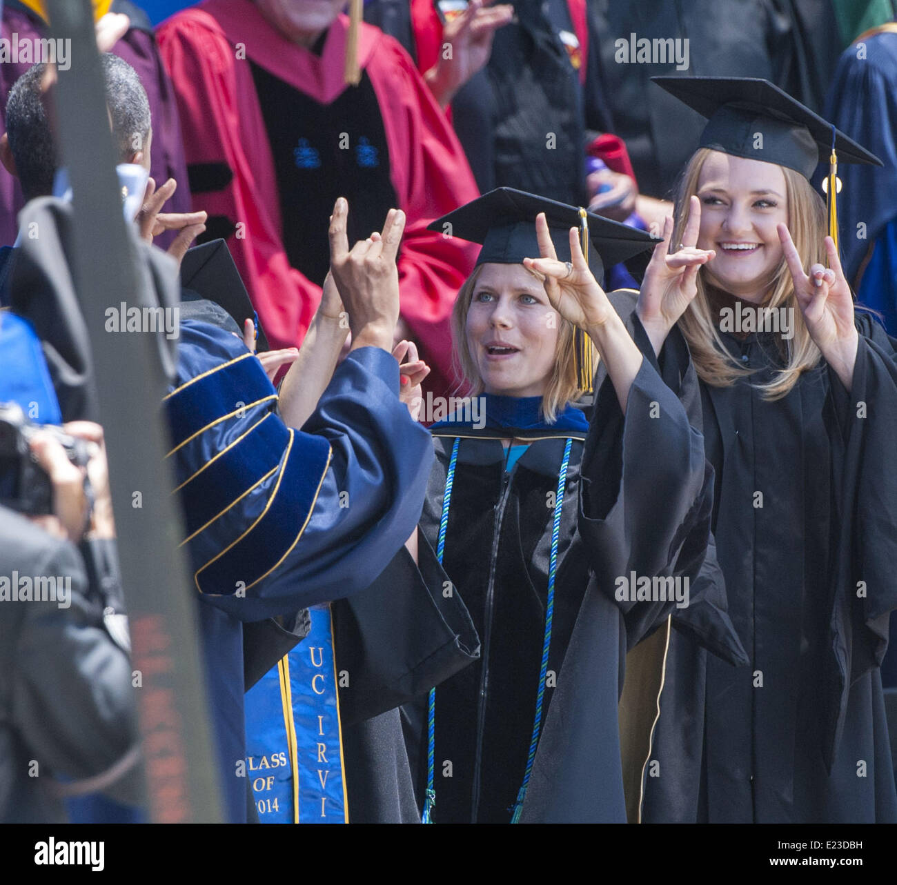 Mascot of the university of california hi-res stock photography and ...