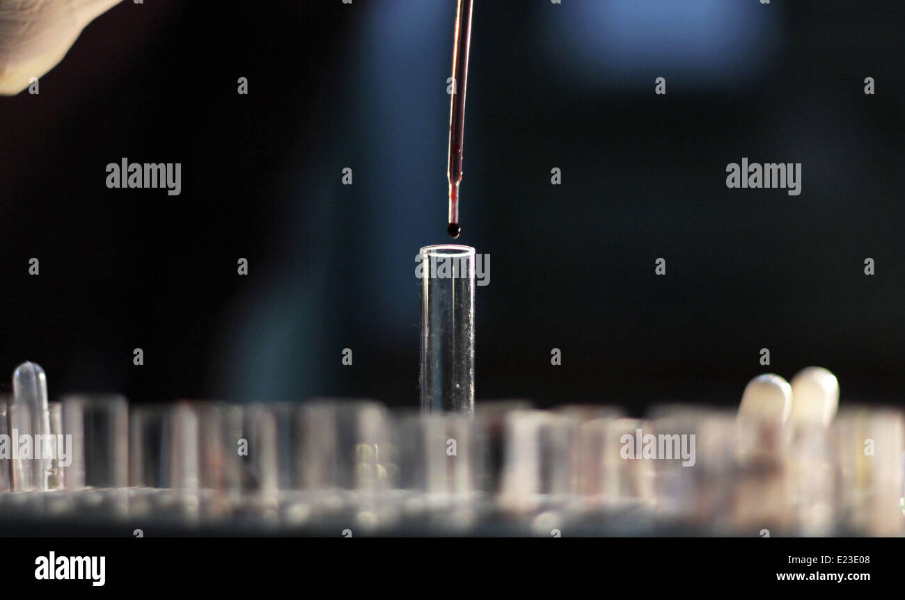 Lahore, Pakistan. 14th June, 2014. Screening the donated blood from ...