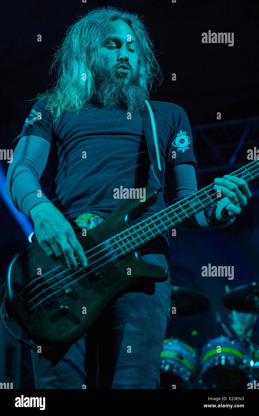 Manchester, Tennessee, USA. 13th June, 2014. Bassist TROY SANDERS of ...