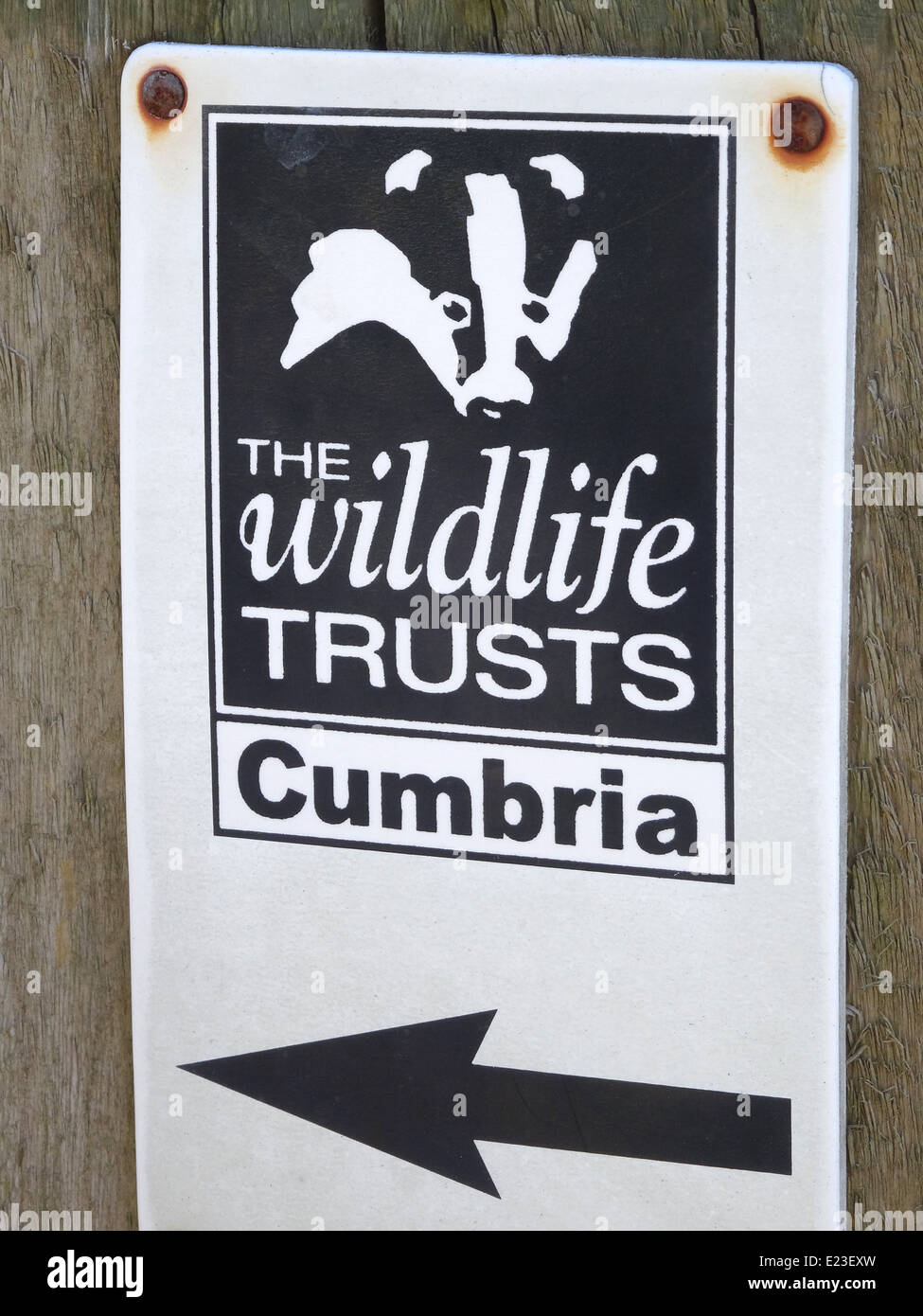 Cumbria wildlife hi-res stock photography and images - Alamy