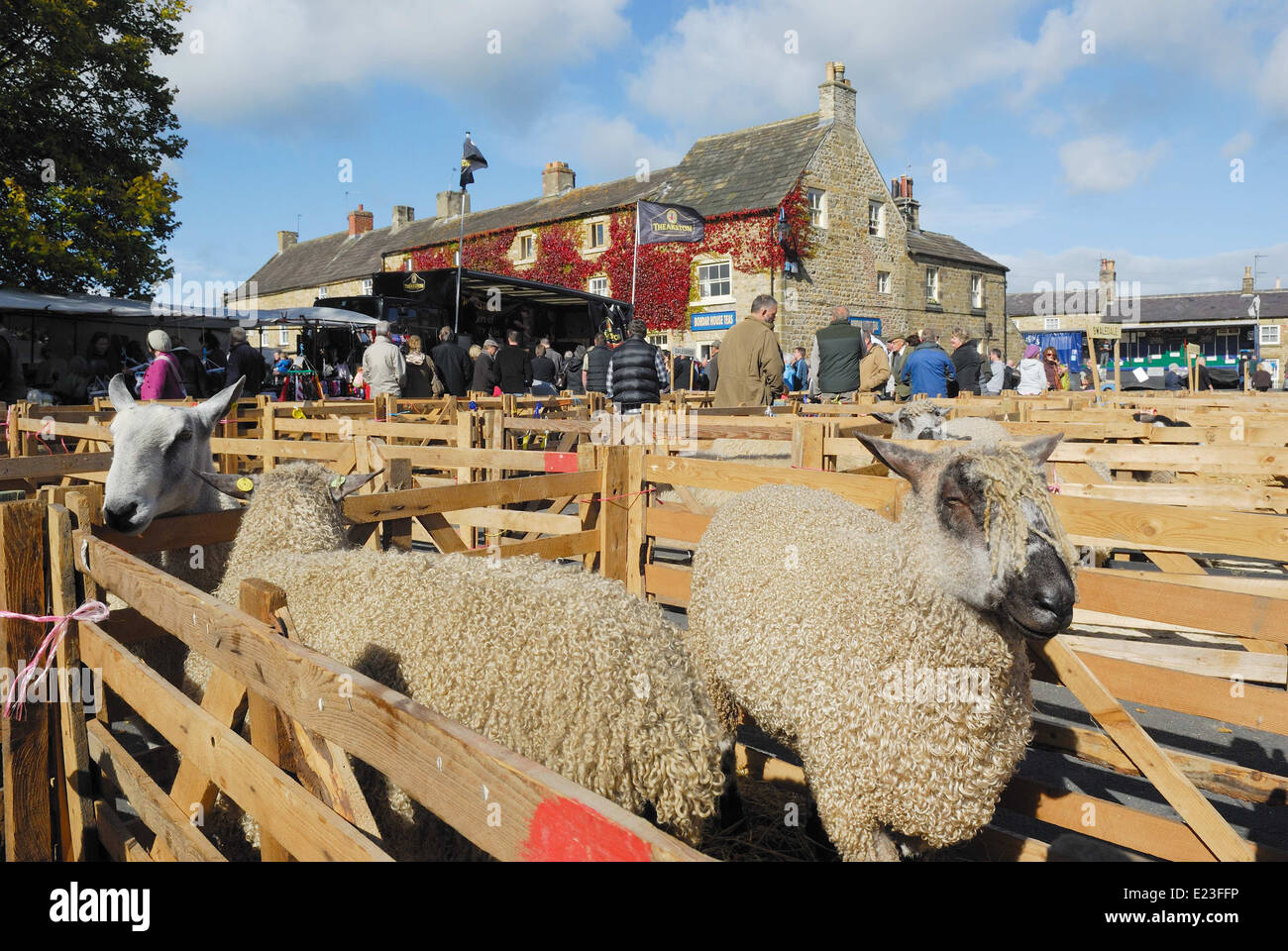 Masham Sheep Fair Stock Photo - Alamy