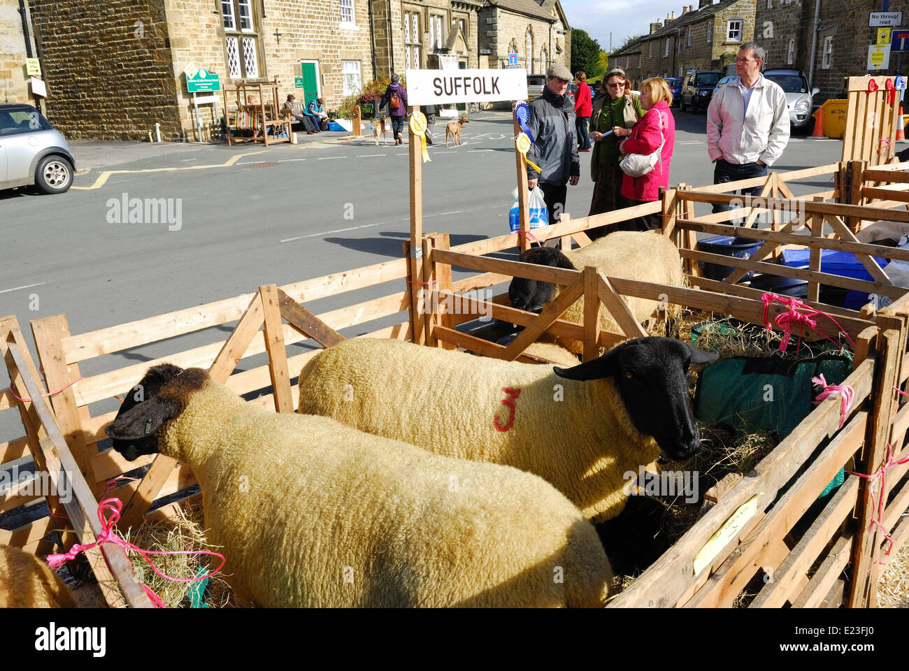 Sheep market wensleydale hi-res stock photography and images - Alamy
