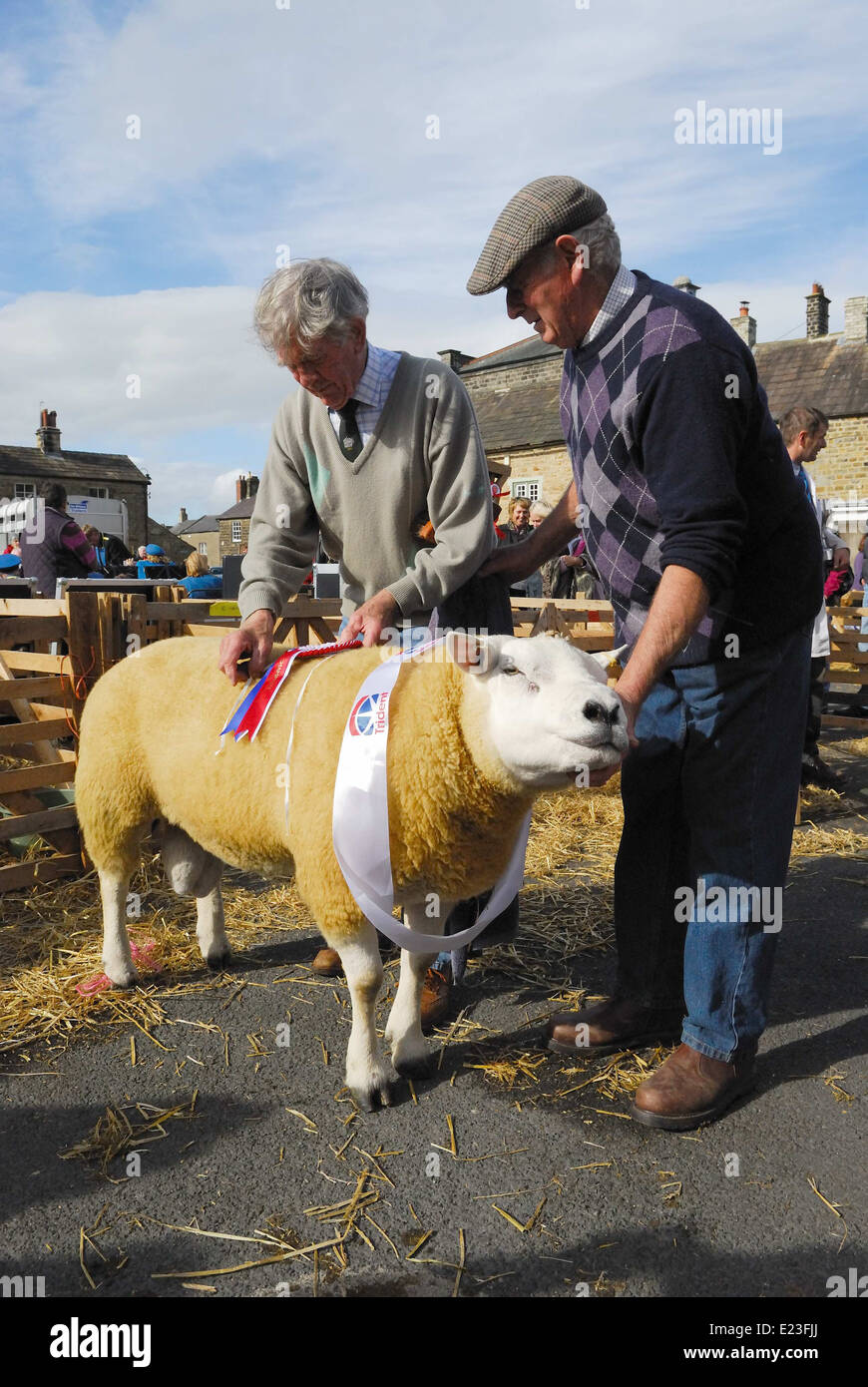 Masham Sheep Fair Stock Photo - Alamy