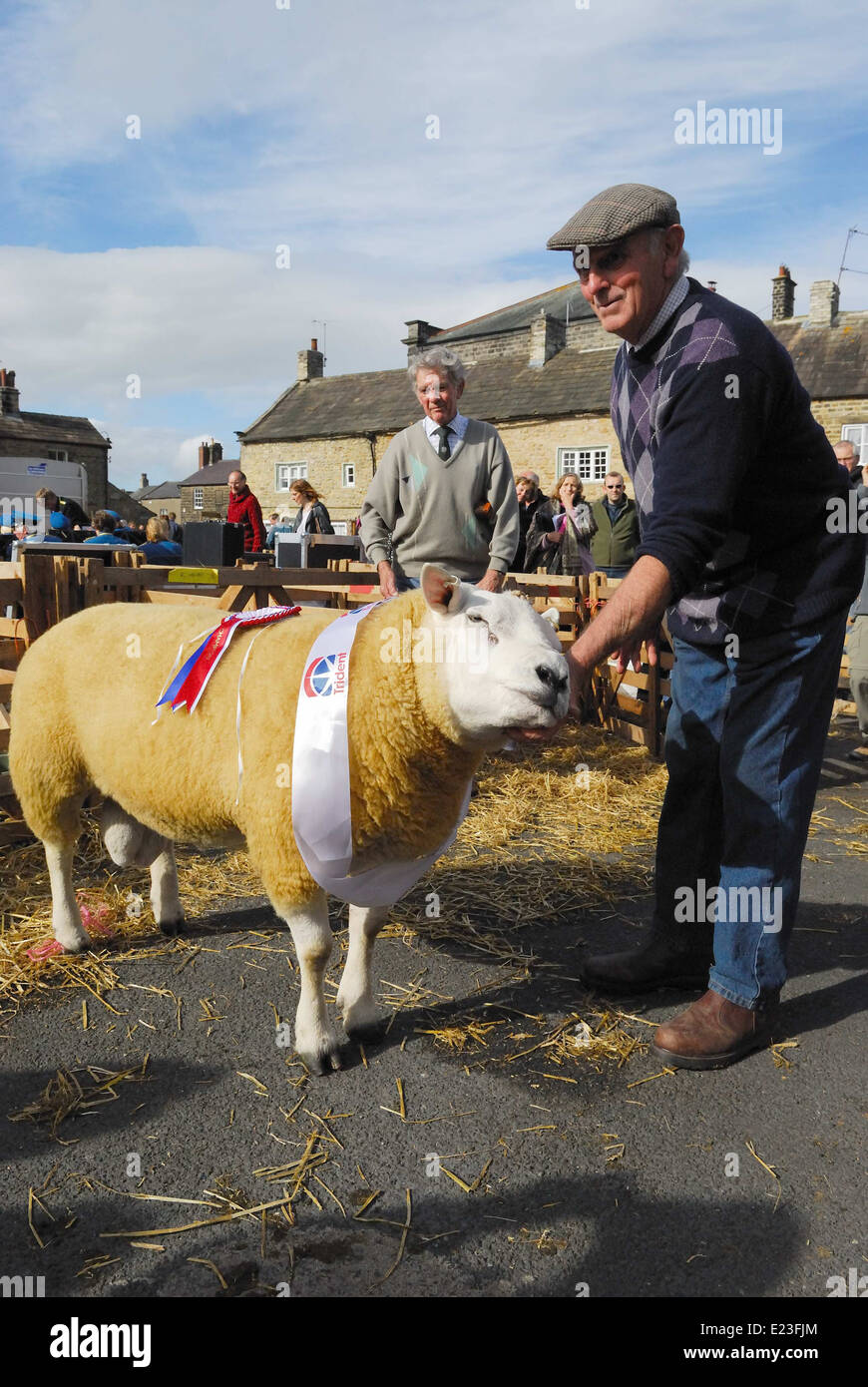 Swaledale sheep show hi-res stock photography and images - Alamy