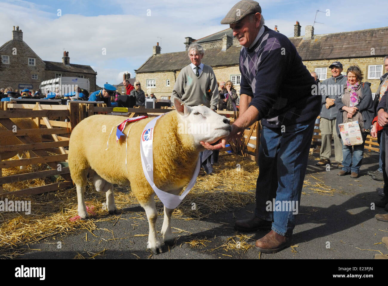 Swaledale sheep show hi-res stock photography and images - Alamy