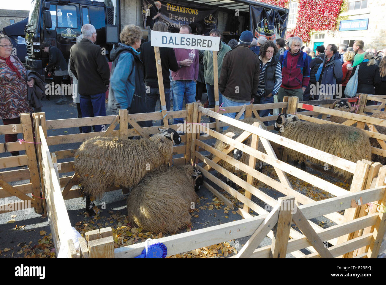 Masham Sheep Fair Stock Photo - Alamy