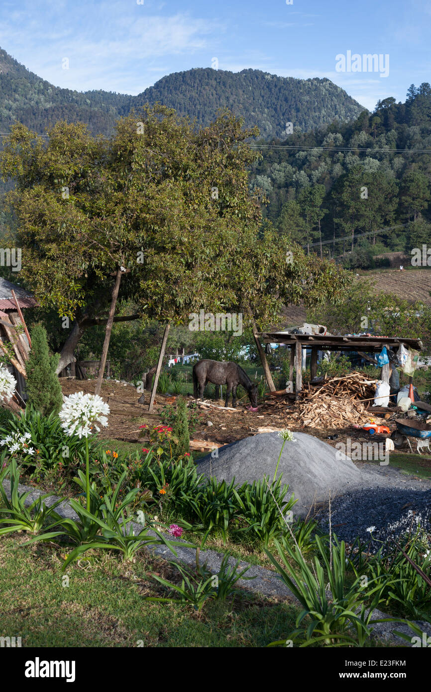 Pastoral landscape in the the village of Macheros - Macheros, Donato ...