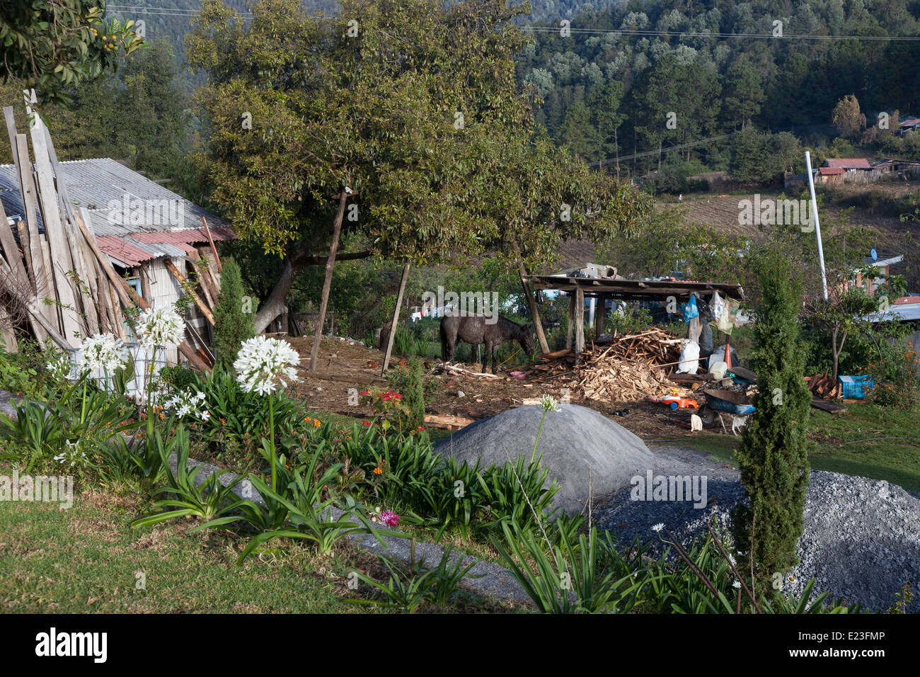 Macheros hi-res stock photography and images - Alamy