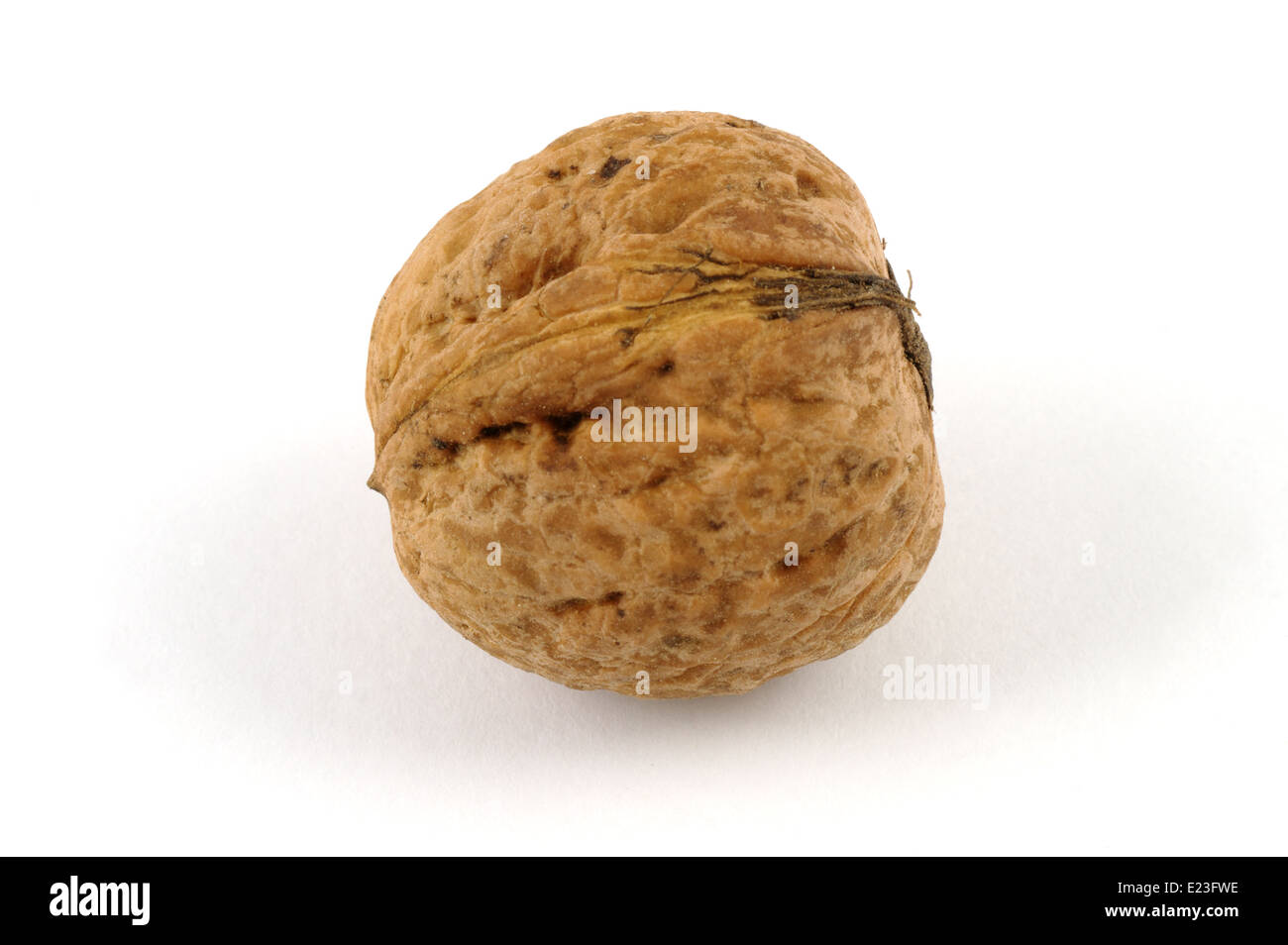 Closed nut hi-res stock photography and images - Alamy
