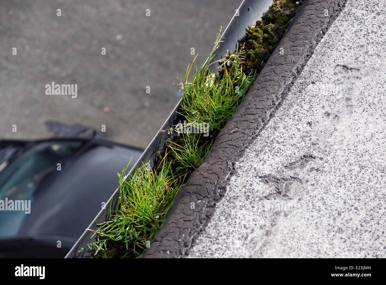 Blocked rainwater gutter number 3465 Stock Photo - Alamy