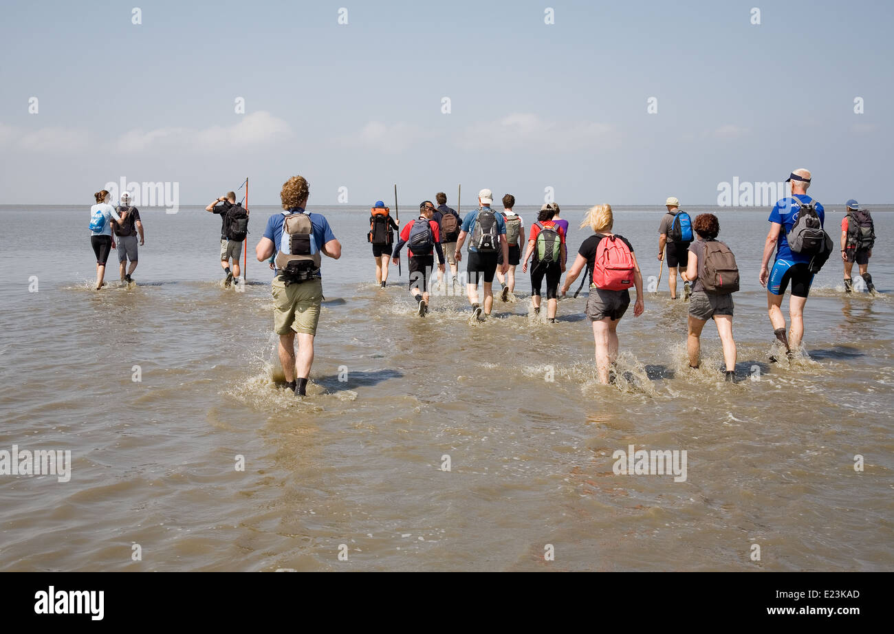 Walking to Schiermonnikoog over the sea bottom. typical dutch sport ...