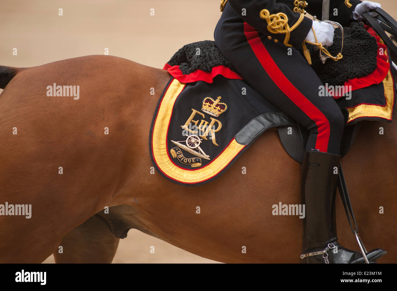 Horse Guards Parade, London UK. 14th June 2014. Closeup of The King’s ...