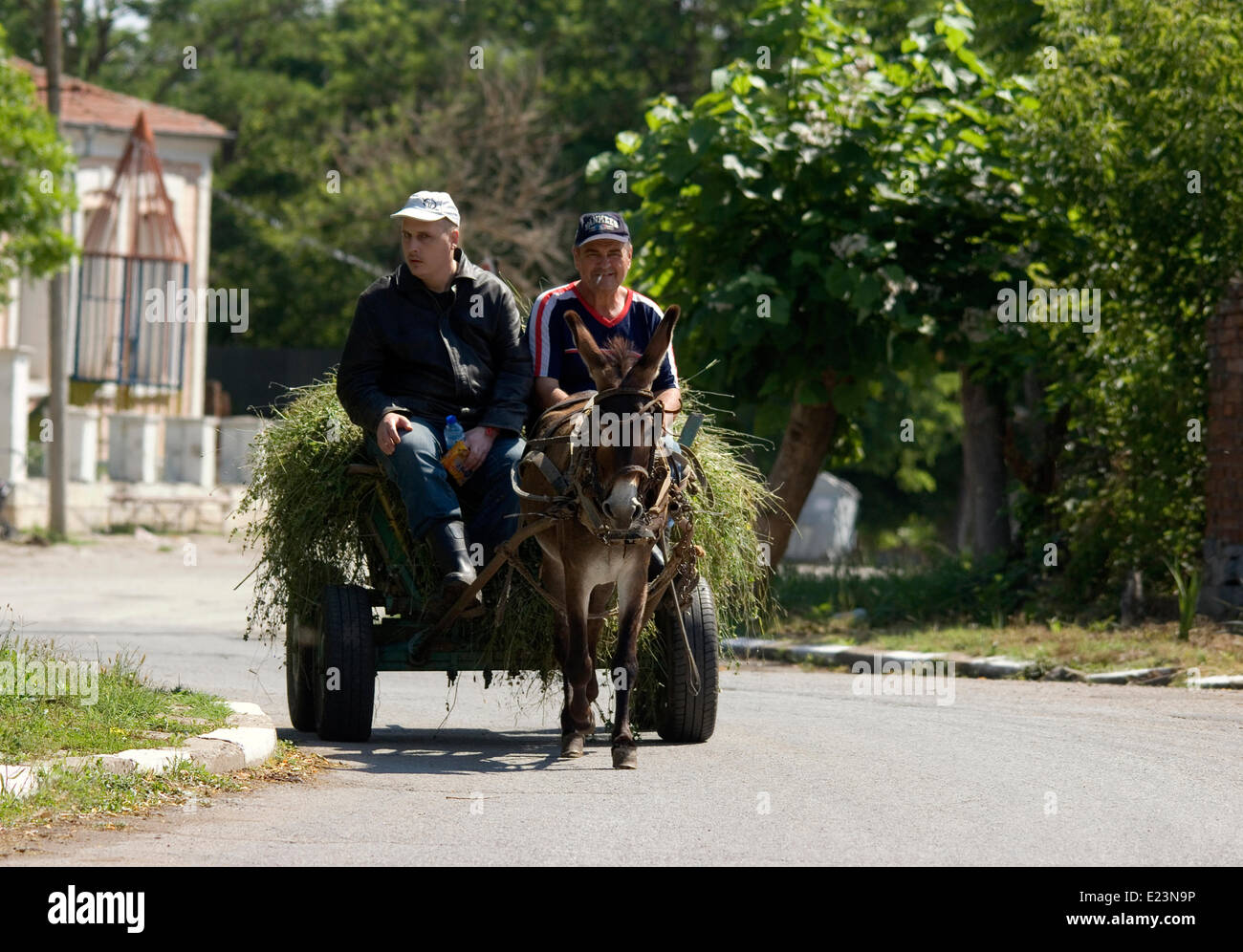 Strandja mountians Bulgaria Eastern Europe June 15th 2014: Temperatures ...