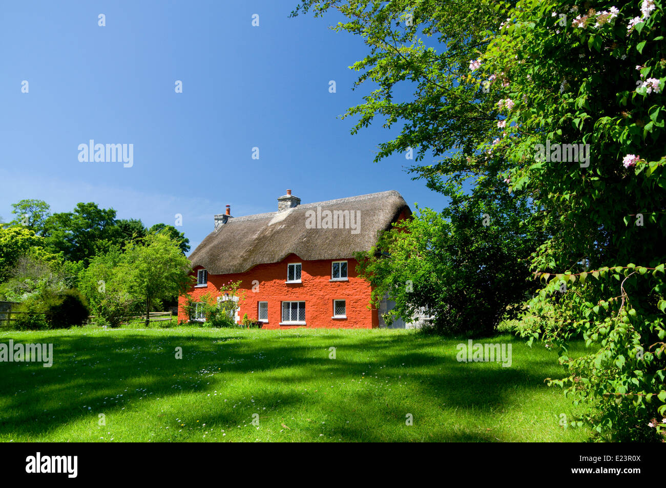 Traditional welsh cottage hi-res stock photography and images - Alamy