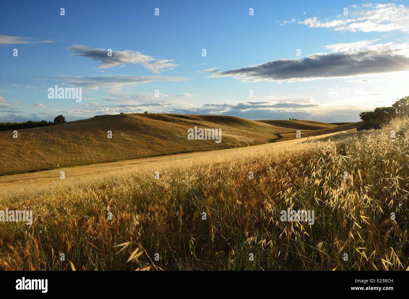 Spanish country landscape at sunset Stock Photo - Alamy