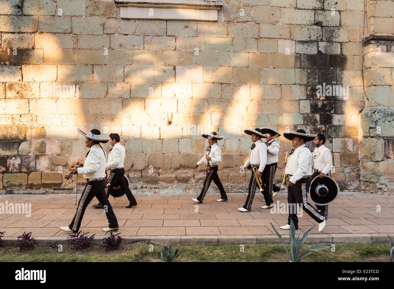 Sombrero hat trumpet oaxaca mexico hi-res stock photography and images ...