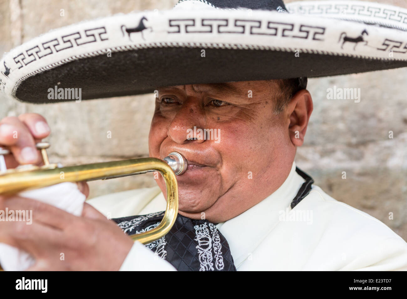 A mariachi band member dressed in traditional charro costume November 5 ...