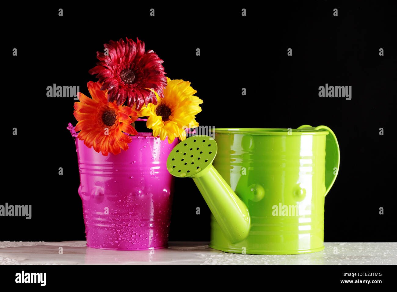 green watering can and flowers of colors Stock Photo - Alamy
