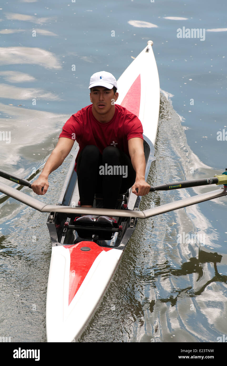 Male man rower rowing single hi-res stock photography and images - Alamy