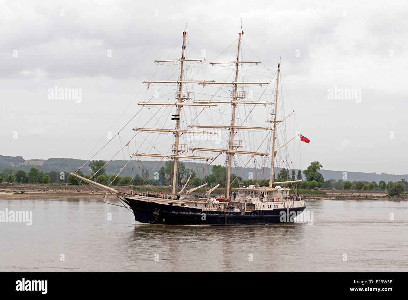 Tenacious hi-res stock photography and images - Alamy