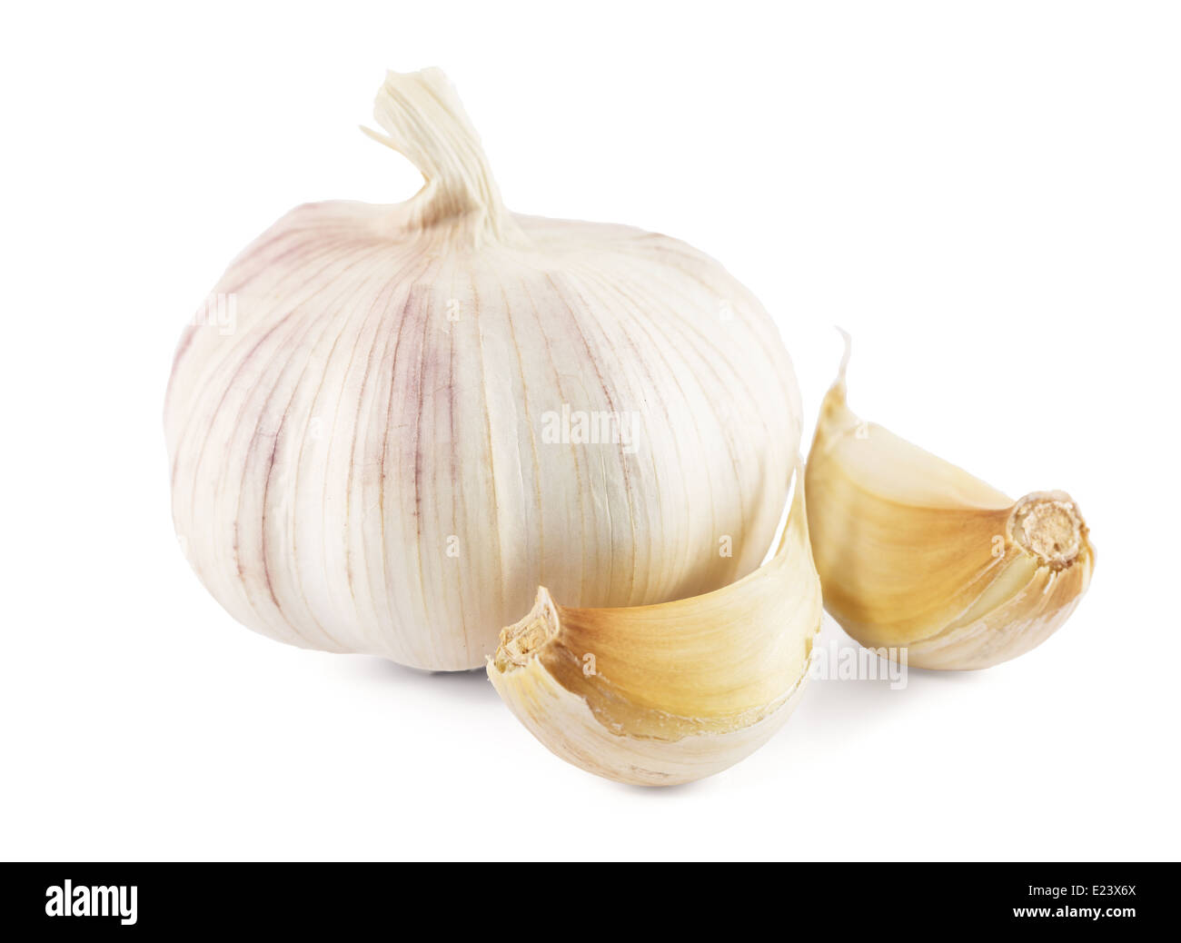 garlic on a white background Stock Photo - Alamy
