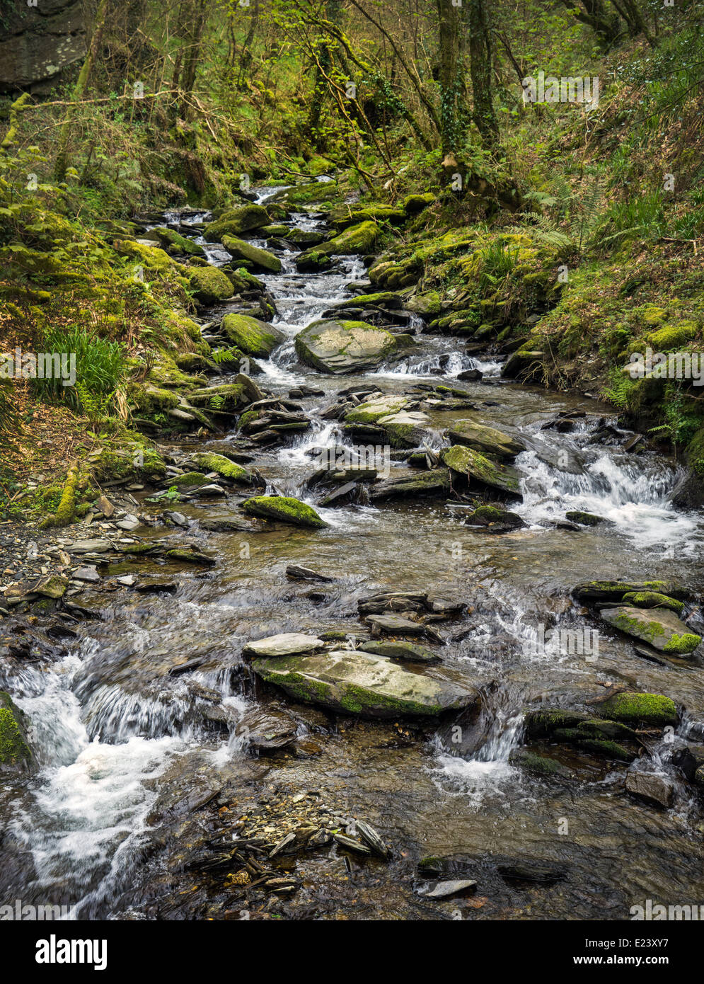 Cornish Waterfall, Cornwall, England Stock Photo - Alamy
