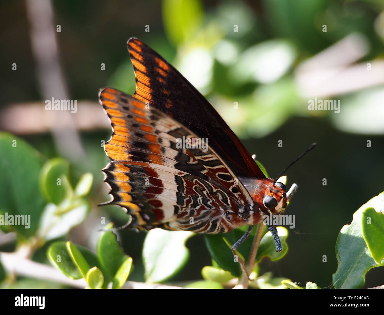 What to do in greece hi-res stock photography and images - Alamy