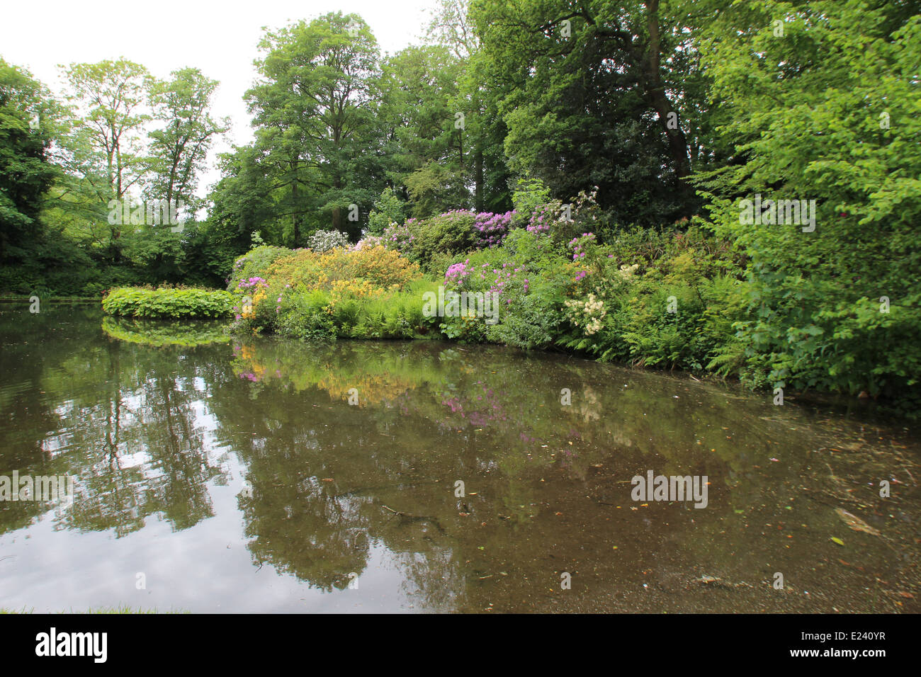 Wightwick manor hi-res stock photography and images - Alamy