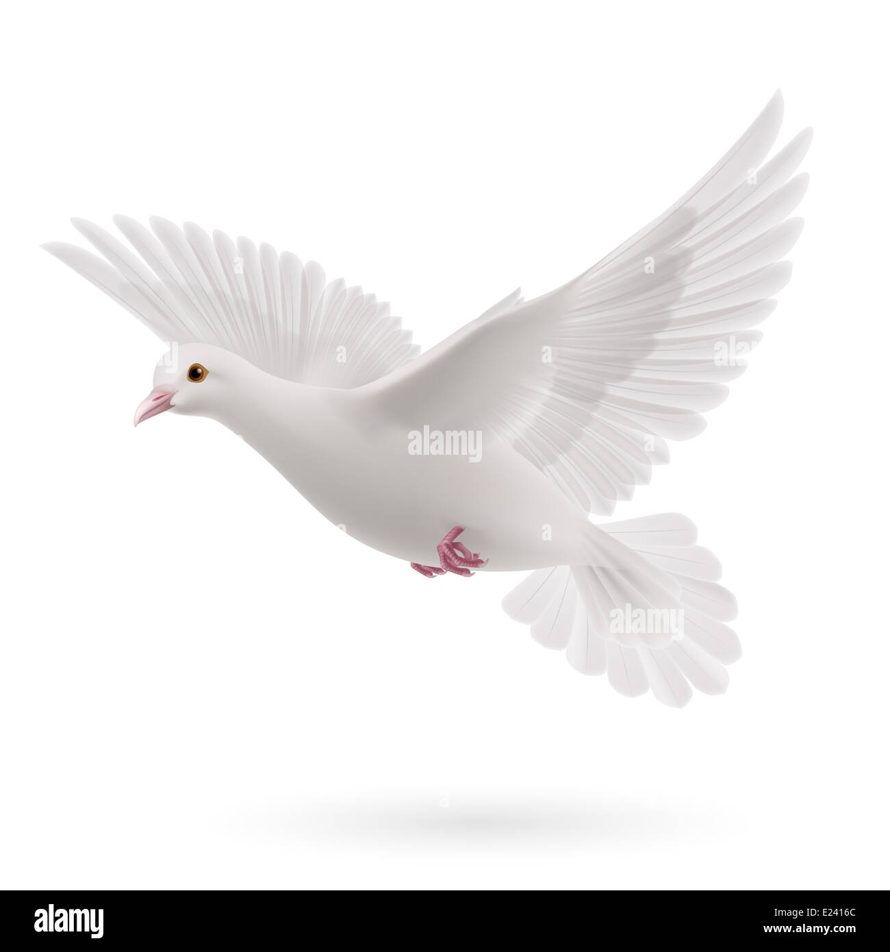 Realistic white dove on white background. Symbol of peace Stock Photo ...