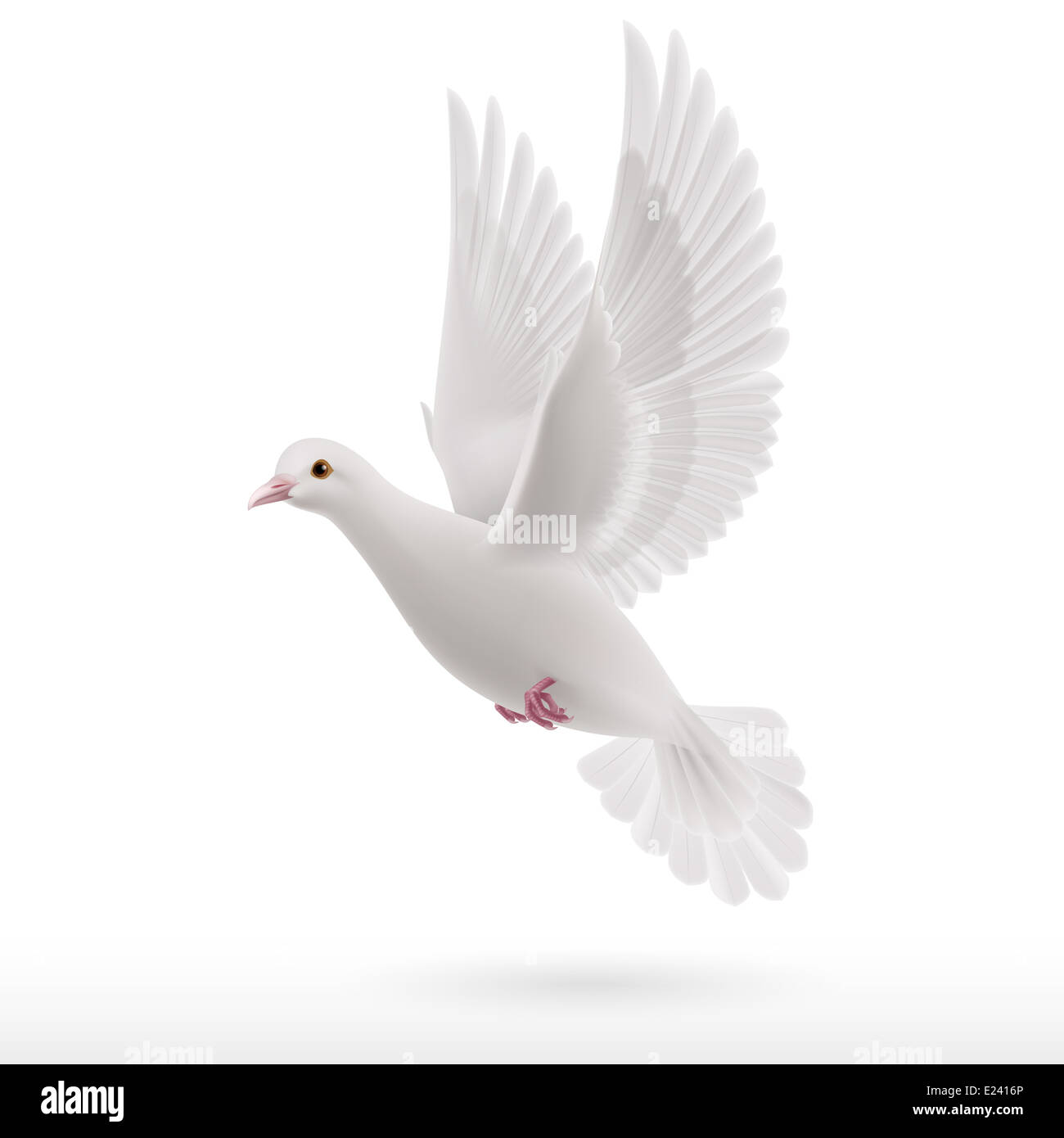 Peace Dove Flying