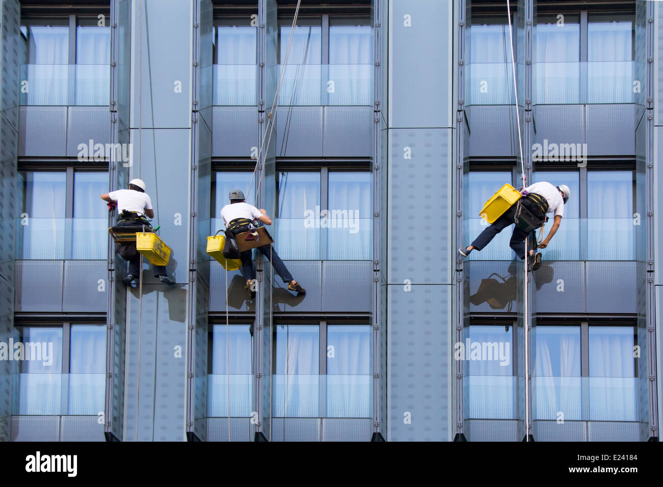 Three climbers wash windows and glass facade of the skyscraper Stock ...