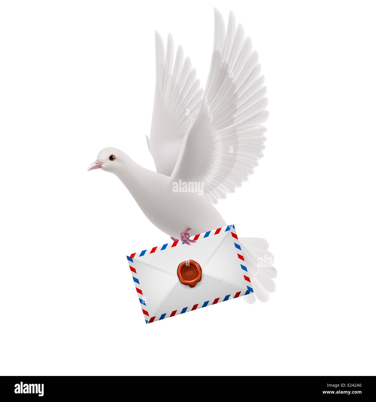 White Pigeon Gif