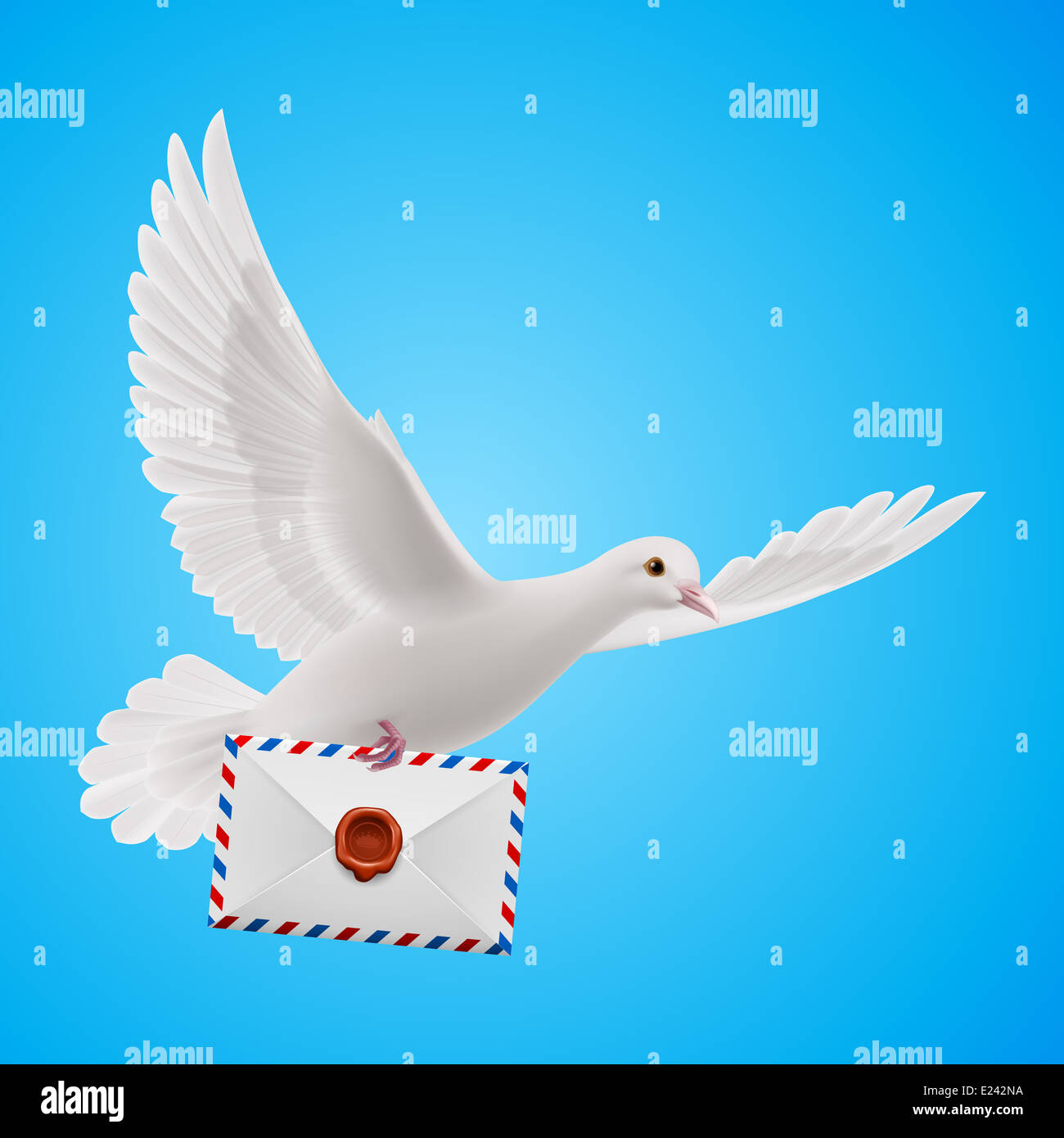 Pigeon fly with mail in blue sky Stock Photo - Alamy