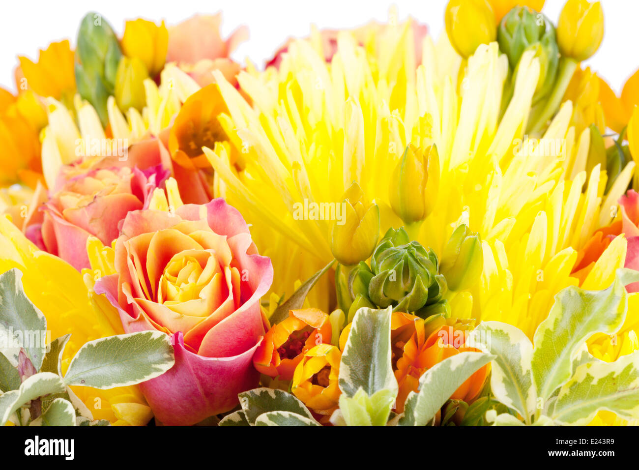 Amazing bunch of flowers close up Stock Photo - Alamy