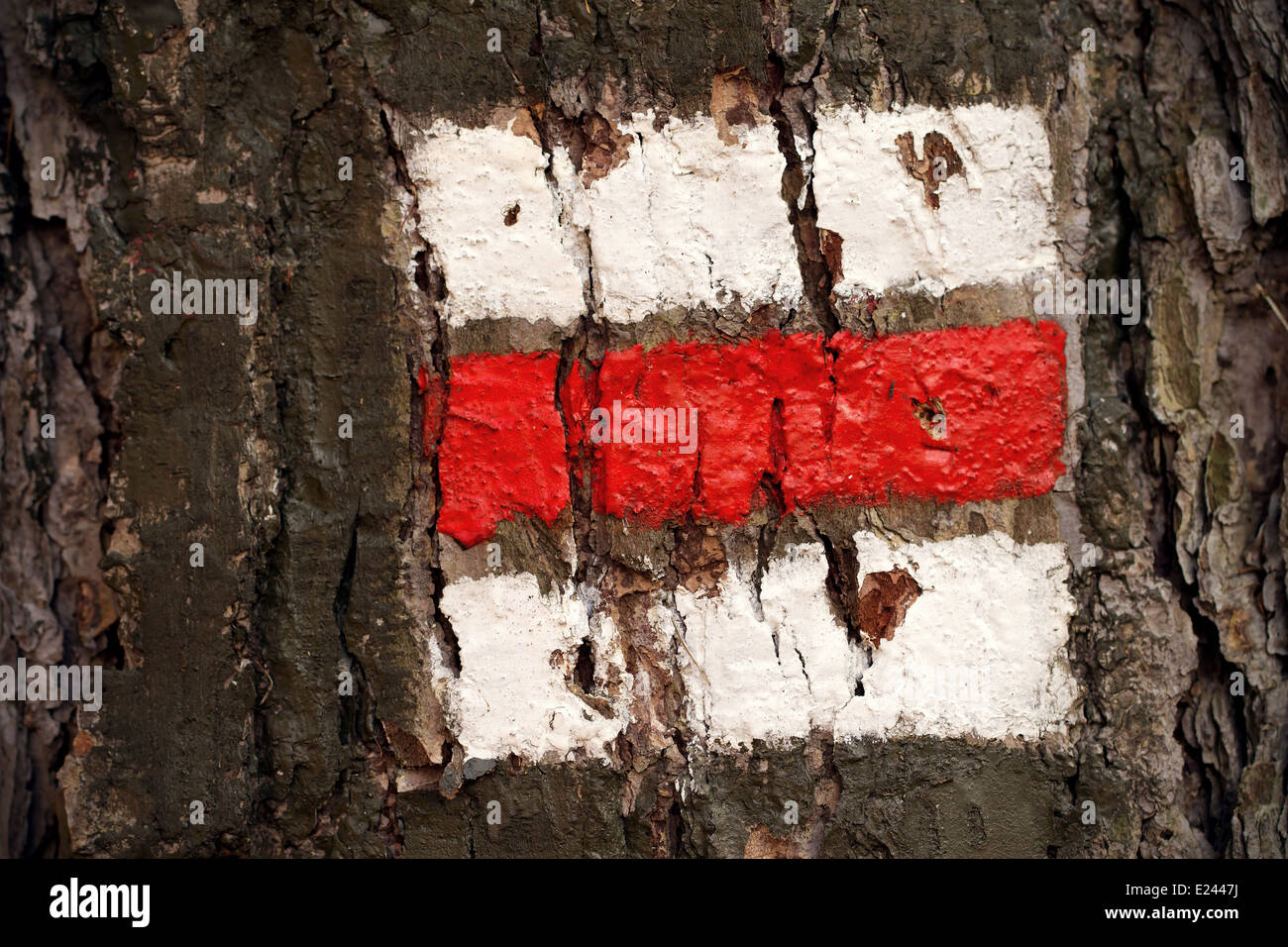 Colorful signs for hiking Stock Photo - Alamy